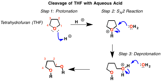 Acidic cleavage of ethers (SN2) – Master Organic Chemistry