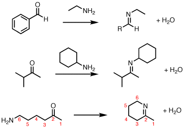 Formation of imines from primary amines and ketones – Master Organic ...