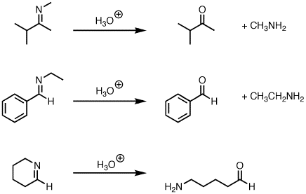 Hydrolysis of imines to give ketones (or aldehydes) – Master Organic ...