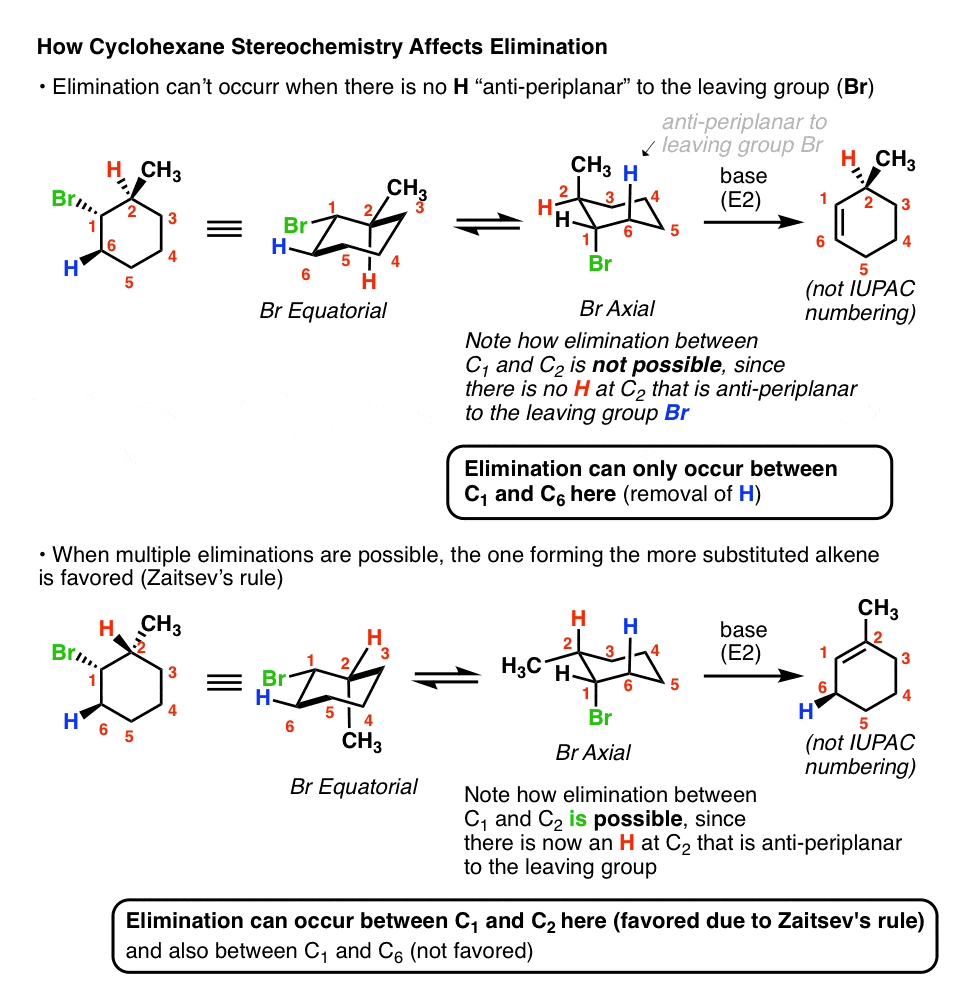 Antiperiplanar Relationships: The E2 Reaction and Cyclohexane Rings
