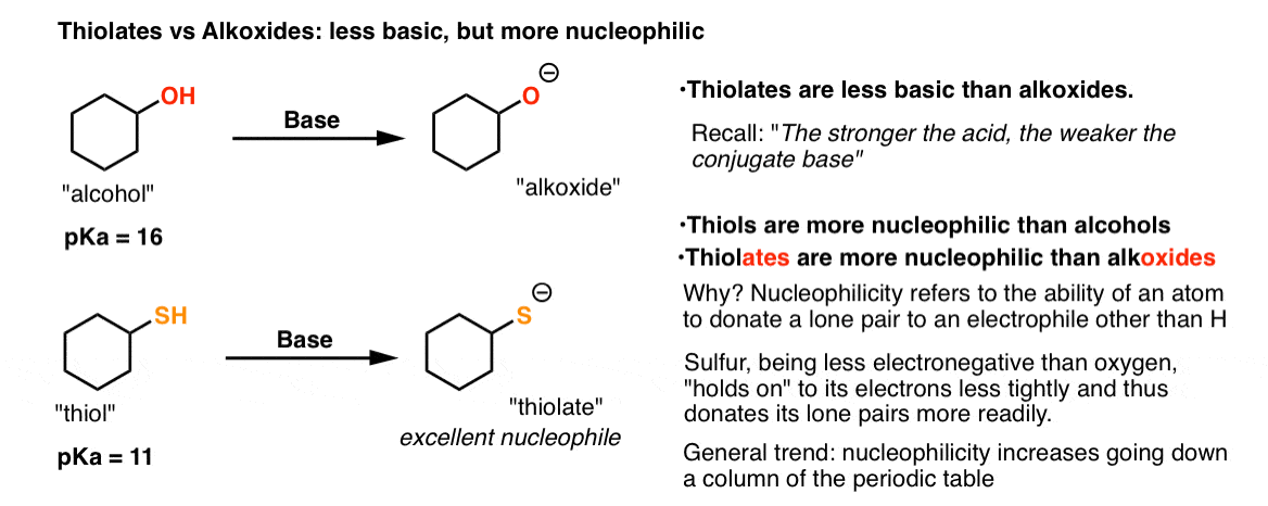Thiols And Thioethers – Master Organic Chemistry