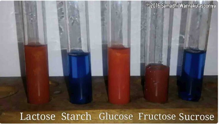 What Are Reducing Sugars? – Master Organic Chemistry