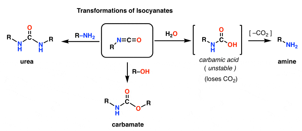 The Hofmann and Curtius Rearrangements – Master Organic Chemistry