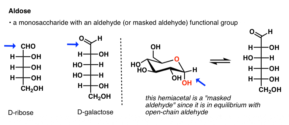 Sugar and Carbohydrate Chemistry Definitions: 29 Key Terms To Know