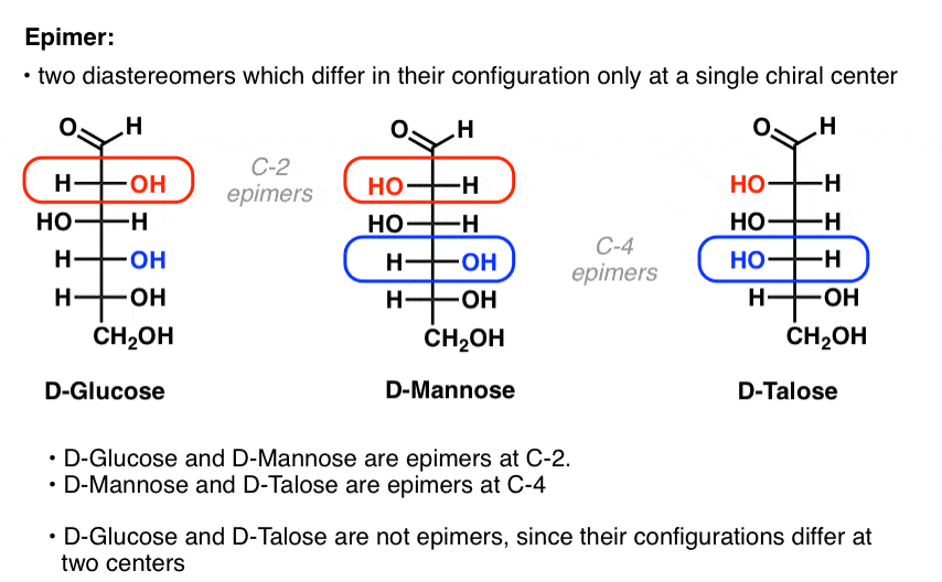 Sugar and Carbohydrate Chemistry Definitions: 29 Key Terms To Know