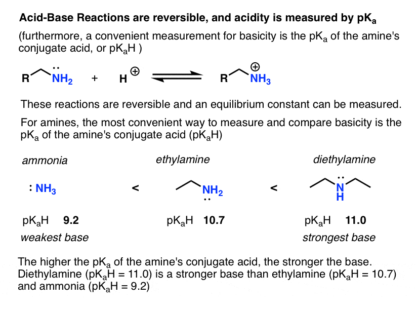 Nucleophilicity Trends of Amines – Master Organic Chemistry