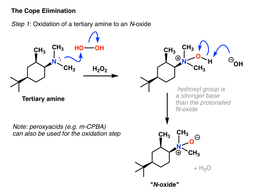 The Cope Elimination: Introduction, Examples and Mechanism