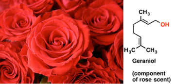 A Gallery of Some Interesting Molecules From Nature