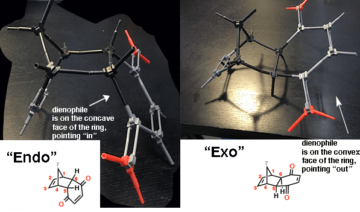 Exo vs Endo Products In The Diels Alder: How To Tell Them Apart
