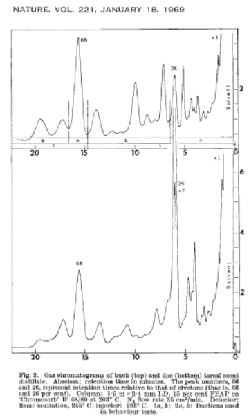 Natural Product Extraction: How to Isolate Molecules From Organisms