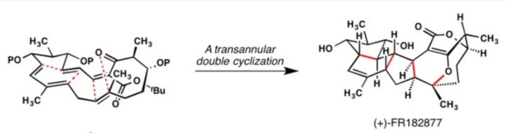 The Intramolecular Diels Alder Reaction – Master Organic Chemistry