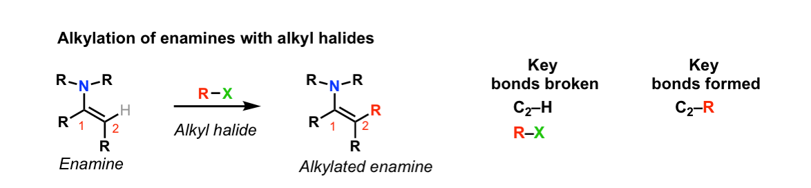 Alkylation of enamines with alkyl halides – Master Organic Chemistry