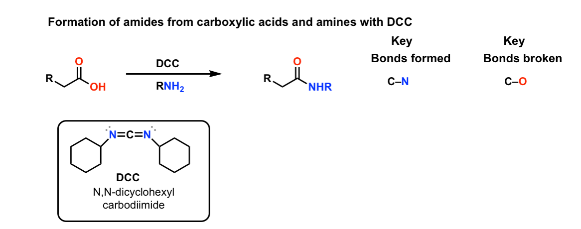 Formation Of Amides Using DCC Master Organic Chemistry Formation Of Amides Using DCC Master Organic Chemistry